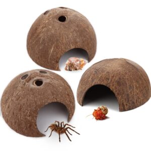 dqitj 3 pack hermit crab hideout, natural coconut shells hut for spider hermit crab gecko turtle small reptile fish tank aquarium