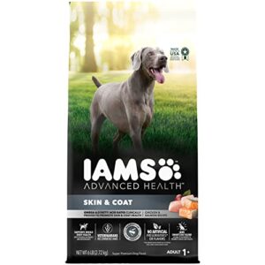 iams advanced health skin & coat adult dry dog food chicken and salmon recipe, 6 lb. bag