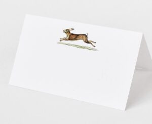 place cards with rabbit (hare) for showers and dinner parties. table tent style, scored for easy folding (12)