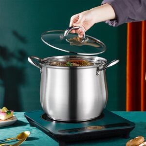 10 Quart Large Stock Pot with Steamer and Glass Lid, Stainless Steel Mirror Polished Stockpot Soup Pot for Cooking, Silver, Dishwasher Safe