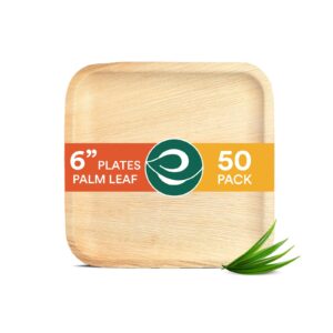 eco soul compostable 6 inch small palm leaf round plates (50, 6" square plates)