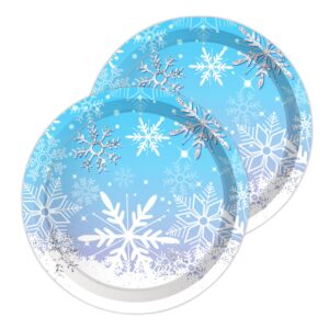 ipalmay snowflake party plates serves 24, winter snow themed disposable paper plates for christmas, holiday celebration, baby shower, wedding, bridal shower, new year blue white party supply