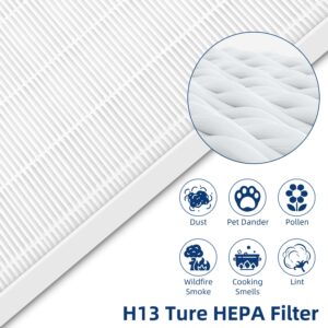 APPLIANCEMATES C545 Replacement Filter S for Winix C545 Air Purifier, Replace 1712-0096-00 2522-0058-002, 2 × H13 Ture HEPA Filters + 8 × Activated Carbon Filters