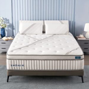 lechepussleep twin mattress,lechepus 14 inch hybrid memory foam mattresses with pocket springs,mattress in box,plush feel euro top mattress for comfort sleep & back pain relief,certipur-us foam