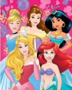 the northwest store disney princess silk throw soft blanket 40''x50'' cinderella, belle, jasmine, aurora and ariel, multicolor