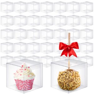 200 pcs candy apple boxes clear apple boxes with hole 4 x 4 x 4 inch gift box transparent caramel apple boxes plastic wrapping containers for cookies chocolate wedding thanksgiving autumn party favor