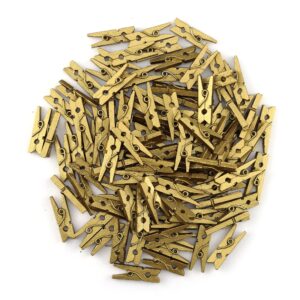 heehee 100 pcs 1 inch gold mini clothespins small clothes pin natural texture wooden clips for food package clips hanging photo