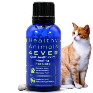 healthy animals 4 ever oral health gum healing for cats - relieves inflammation, soothes pain, fights gum disease - natural, non-gmo, organic - gluten, preservative & chemical free supplement - 300 ct