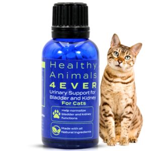 healthy animals 4 ever urinary support for bladder and kidneys for cats - for urinary tract infections & renal cleansing - natural, homeopathic, non-gmo, organic - preservative & chemical free - 300ct