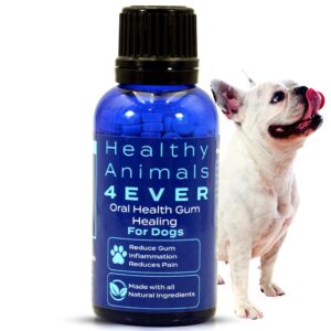 healthy animals 4 ever oral health gum healing for dogs - relieves inflammation, soothes pain, fights gum disease - natural, non-gmo, organic - gluten, preservative & chemical free supplement - 300 ct