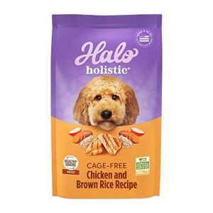 halo holistic adult dog healthy grains cage-free chicken & brown rice recipe kibble 3.5 lb