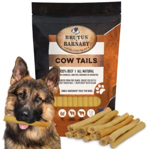 brutus & barnaby 100% natural cow tails dog treat - our healthy cow tails for dogs are easy to digest, chemical & hormone free - thick & hearty chew, great rawhide alternative for small or large dogs