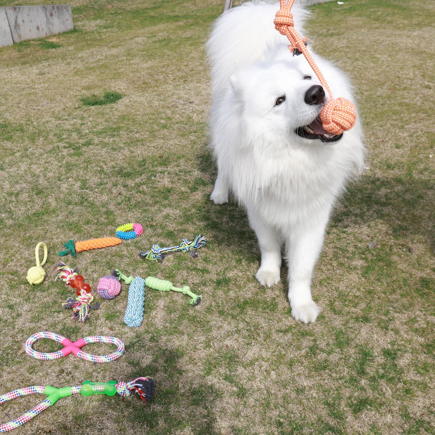 Dog Toys for Aggressive Chewers Keep Your Pet Busy Indestructible Tough Dog Toys with 12 Pieces Interactive Dog Rope Toys for Playing Teething Chew Toys for Boredom