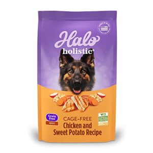 halo holistic adult dog grain free cage-free chicken & sweet potato recipe 21 lb bag