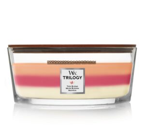 woodwick ellipse candle, blooming orchard trilogy, 16 oz.