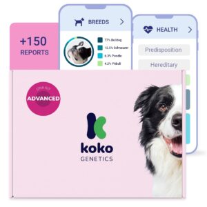 tellmegen koko genetics dna test for dogs advanced - analyzes +400 breeds and +175 health & traits reports