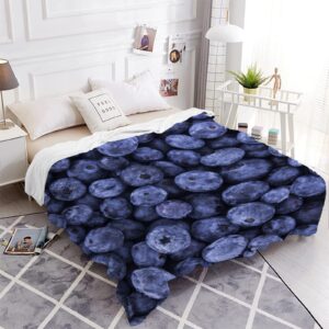 Blueberry Throw Blanket 3D Food Blanket for Girls Boys Kids Soft Cozy Fleece Funny Food Blanket for Bed Couch Sofa Chairs—All Season Small 50"x40"(Throw) Kid