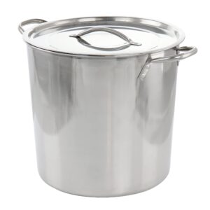 everyday 16 quart stainless steel stock pot with lid silver non-stick