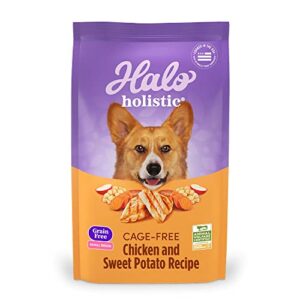 halo holistic small breed grain free cage-free chicken & sweet potato recipe 3.5 lb