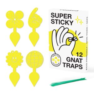 super sticky gnat traps 12pk