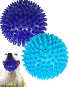 pweituoet 2 pack 4.5” heavy duty squeaky dog ball for medium large dogs, spikey dog ball toys for clean teeth and training, large dog toys for aggressive chewers