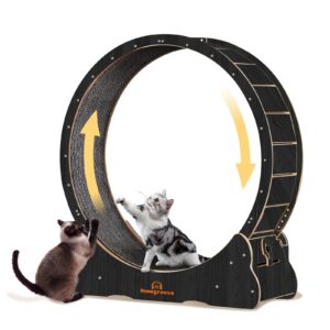 homegroove cat exercise wheel for indoor cat, 40" large cat running wheel with carpeted runway, cat treadmill wheel for kitty’s longer life, cat wheel for fitness weight loss device, black(l)