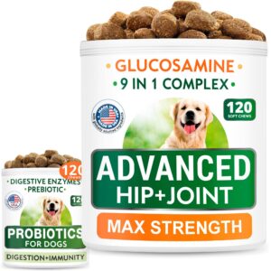 glucosamine treats + probiotics chews bundle - senior advanced joint health + upset stomach relief - chondroitin, omega-3 + digestive enzymes, prebiotics - hip & joint care + improve immunity - 240ct