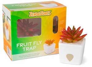 zendozones fruit fly trap with zendo lure, joyful janet with plastic, white base, refillable and reusable, long-lasting