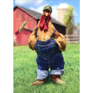 avanti press chicken wearing overalls and boots funny / humorous birthday card