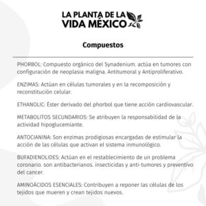 La Planta De La Vida Mexico, Tintura Madre de Lechero Africano