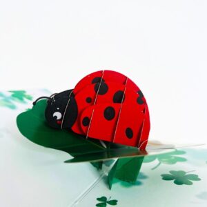 paper pop up cards 4.7x6.69 inch, ladybug with lucky plant, 3d popup greeting cards with note cards and envelopes, perfect for pop-up bursting birthday gift.