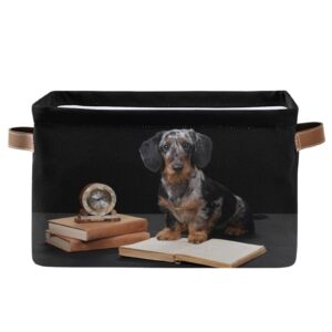 alaza funny dachshund dog black foldable storage box storage basket organizer bins with handles for shelf closet living room bedroom home office 1 pack