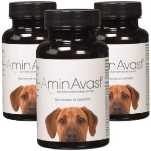 aminavast kidney support supplement for dogs, 1000mg 3-pack - promotes natural kidney function - aids in health and vitality of aging kidneys - easily administered - 60 sprinkle capsules