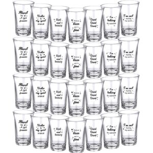 28 pcs funny shot glasses for adult acrylic party shot glasses 1.2 ounce shot glasses party favors for guests shot glasses bulk wine shot glasses for adult birthday party drinking gifts supplies