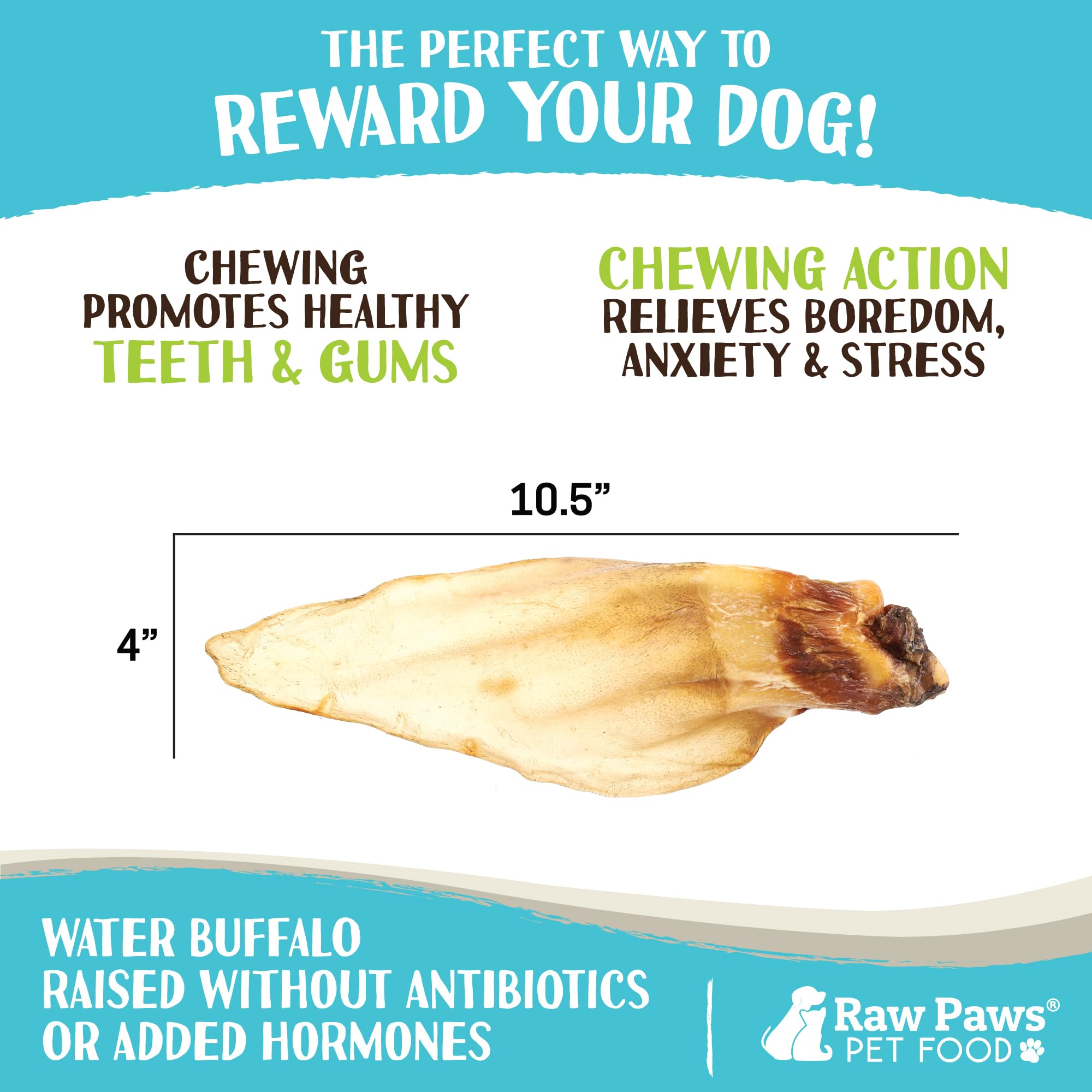 Raw Paws Water Buffalo Ears for Dogs (5 Pack) - Packed in USA - Alternative for Pig Ears for Dogs or Cow Ears - Dog Treat Animal Ears - Rawhide Free Dog Chews Long Lasting Chews for Aggressive Chewers