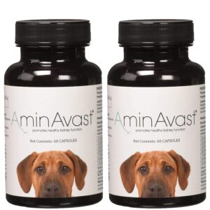 aminavast kidney support supplement for dogs, 1000mg 2-pack - promotes natural kidney function - aids in health and vitality of aging kidneys - easily administered - 60 sprinkle capsules