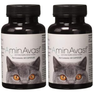 aminavast kidney support supplement for cats and small dogs, 300mg 2-pack - promotes natural kidney function - aids in health and vitality of aging kidneys - easily administered - 60 sprinkle capsules