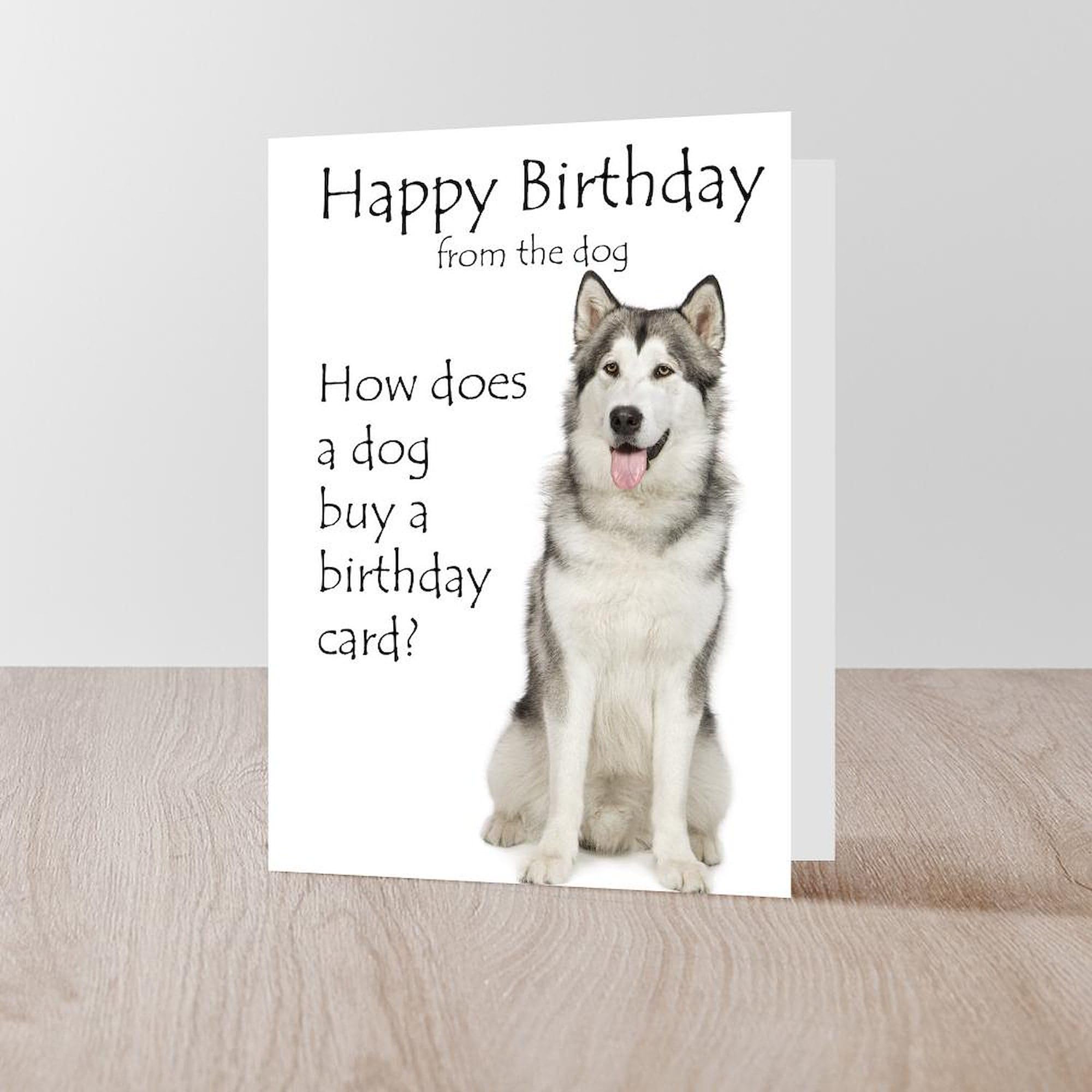 CafePress Funny Husky Birthday Greeting Cards Folded Greeting Card Matte