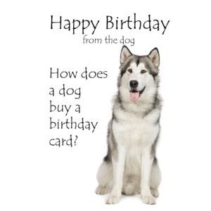 CafePress Funny Husky Birthday Greeting Cards Folded Greeting Card Matte