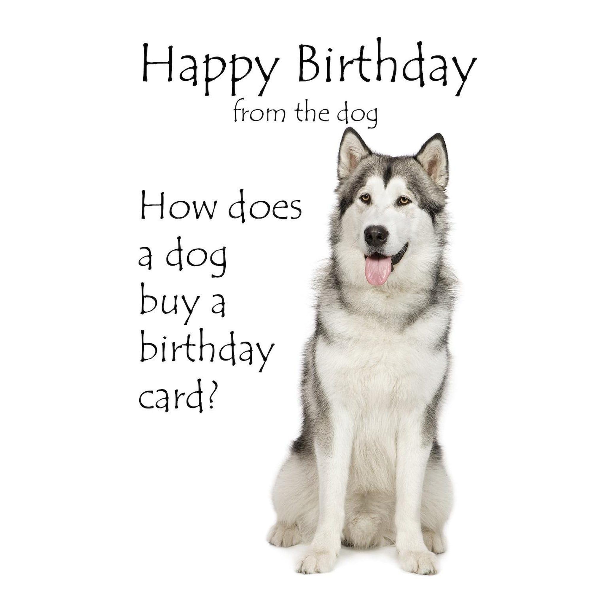 CafePress Funny Husky Birthday Greeting Cards Folded Greeting Card Matte