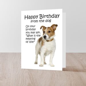 CafePress Jack Russell Birthday Cards Folded Greeting Card Glossy