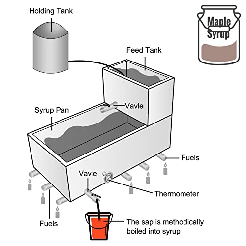 VEVOR Maple Syrup Evaporator Pan 30x16x19 Inch Stainless Steel Maple Syrup Boiling Pan with Valve and Thermometer and Feed Pan for Boiling Maple Syrup