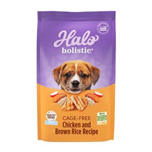 halo purely for pets holistic dog food, complete digestive health cage-free chicken and brown rice recipe, dry dog food bag, puppy formula, 3.5-lb bag