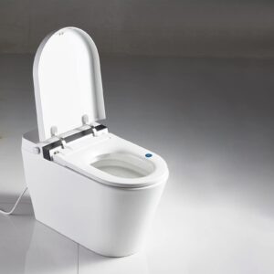 strictly sinks smart toilet with bidet built in–with auto open/close lid,motion sensor,remote control,automatic powerful flush,self-cleaning & drying tankless toilet