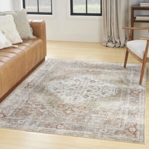 nourison astra machine washable bohemian sage multi 5'3" x 7' area -rug, easy -cleaning, non shedding, bed room, living room, dining room, kitchen (5x7)