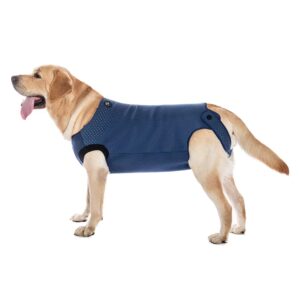 coodeo dog surgery recovery suit, waterproof recovery suit for dogs, surgery suit for wounds protect, cone alternative after surgery, dog onesie for surgery female or male (blue, xs)