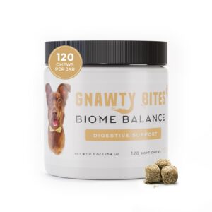 gnawty bites biome balance | dog probiotics for healthy gut flora for upset stomach, diarrhea, & bowel support with digestive enzyme & lactobacillus (5-strain probiotic blend), 120 soft chews