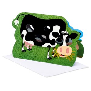 american greetings funny birthday card (holy cow)