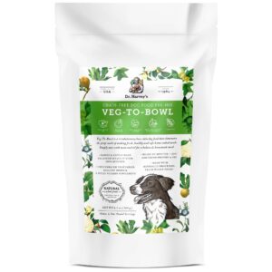 dr. harvey's veg-to-bowl dog food, human grade dehydrated base mix for dogs, grain free holistic mix, trial size (6.5 oz)