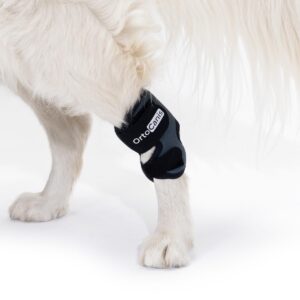 ortocanis - tarsal support for dog - ankle brace for arthritis, tarsal and ligament injuries, osteoarthritis, tendon inflammations - made of ard neoprene - size: xxs 7-9 cm - 5.5-7.5 cm